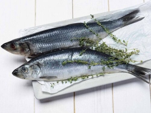 Herring - Catch It and Cook It - Grandads Cookbook