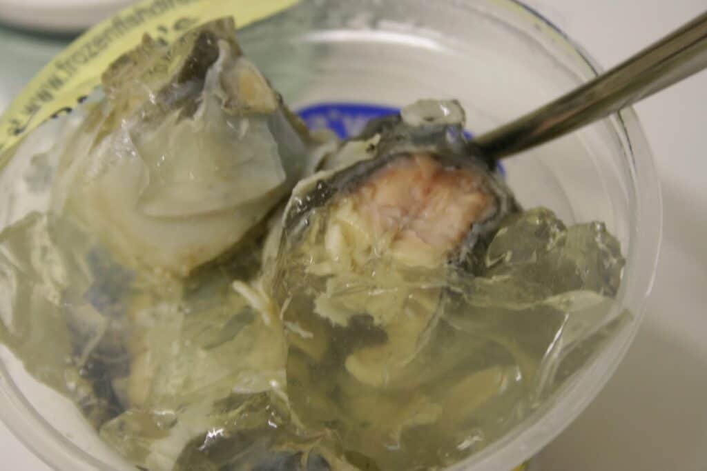Conger Eel Served in Natural Jelly - Grandads Cookbook